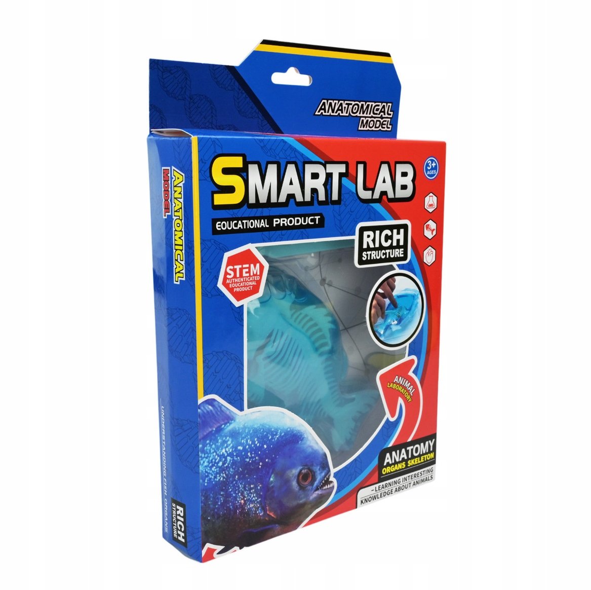 Smart Lab - Anatomia Ryby - Zestaw Edukacyjny Dla Dzieci - QBI | Sklep ...