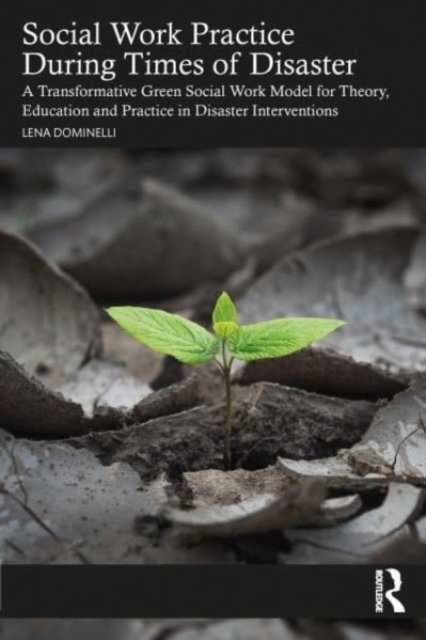 Social Work Practice During Times of Disaster: A Transformative Green ...