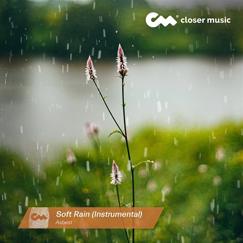 Soft Rain - Asbest | Muzyka, mp3 Sklep EMPIK.COM
