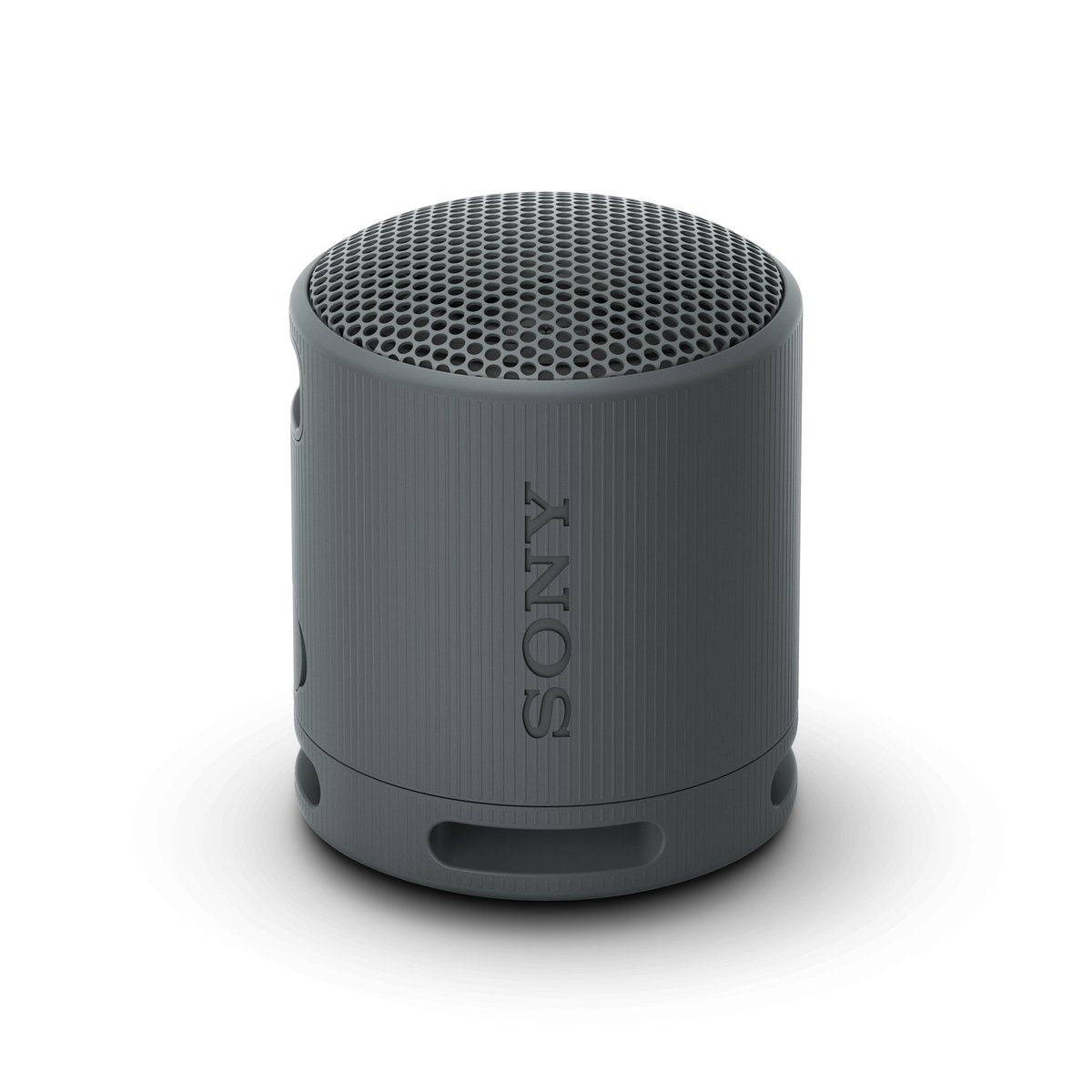 Sony SRS-XB100 bezprzewodowy głośnik Bluetooth, przenośny, czarny ...