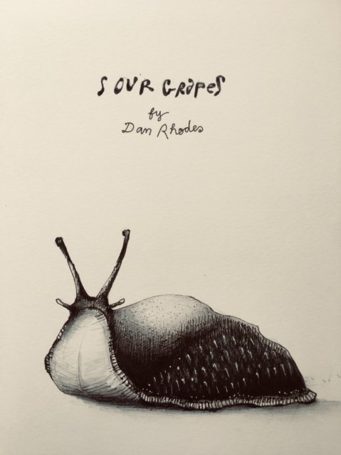 Sour Grapes - Dan Rhodes | Książka w Empik