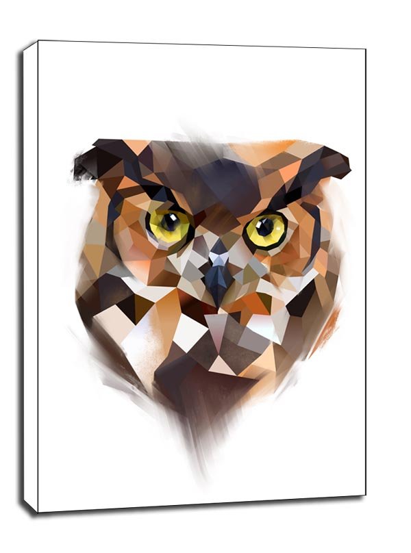 Sowa - Obraz Na Płótnie 70X100 Cm - Galeria Plakatu | Sklep EMPIK.COM