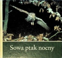 Sowa ptak nocny - Opracowanie zbiorowe | Książka w Empik