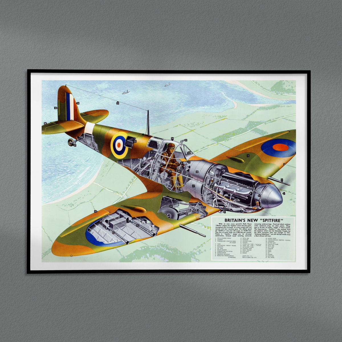 SPITFIRE przekrój przez samolot plakat 42x30 cm / DodoPrint - Inny ...