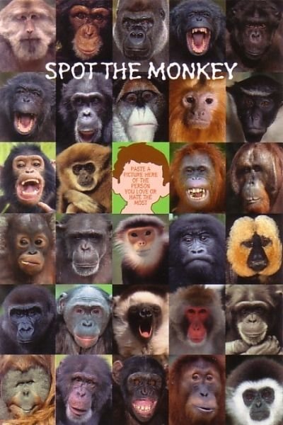 SPOT THE MONKEY plakat 61x91cm - Wizard+Genius | Sklep EMPIK.COM