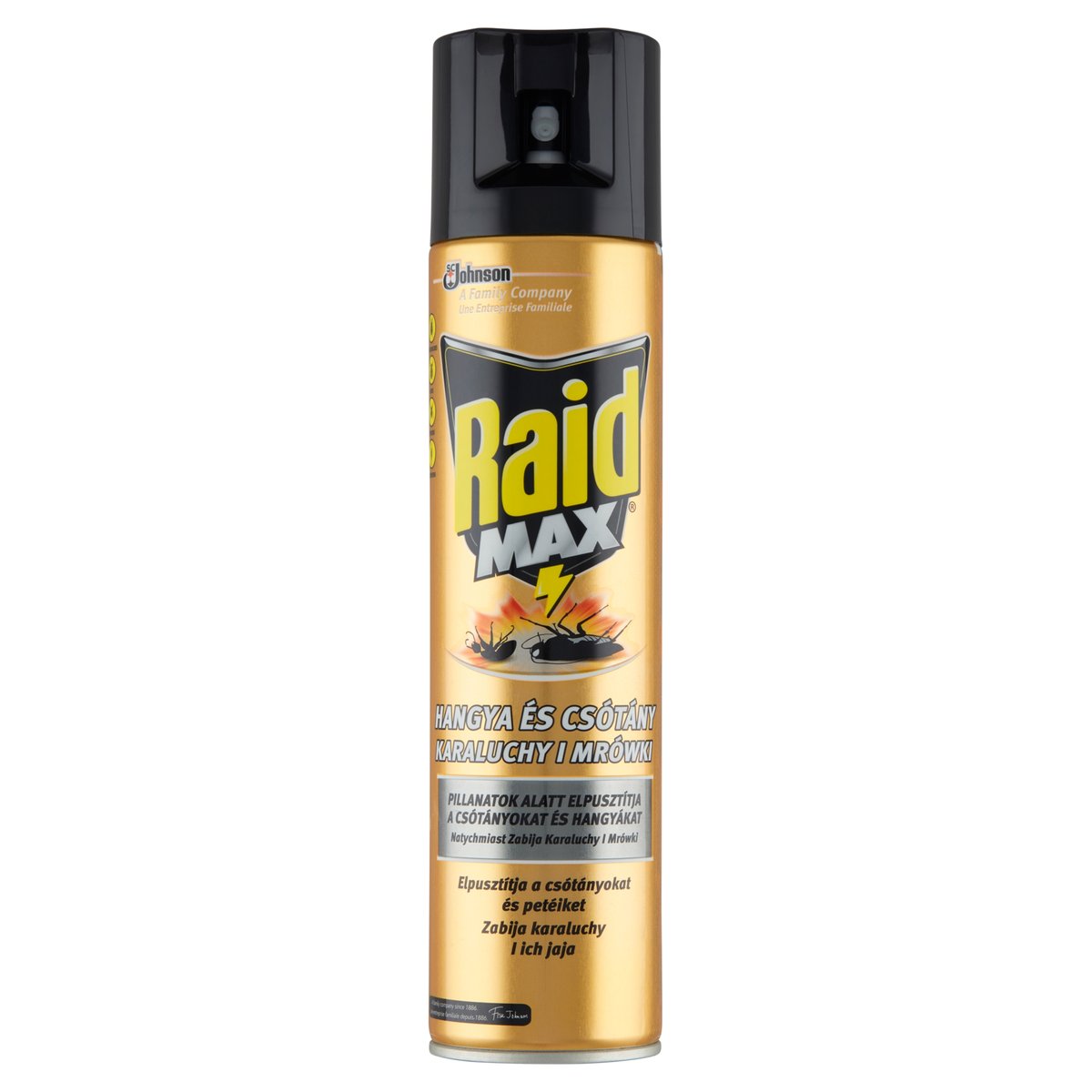 Spray na Owady Biegające Raid Max Aerozol Przeciw Karaluchom Mrówkom ...