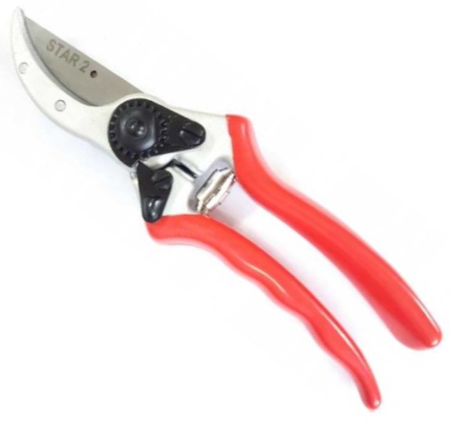 STAR 2 Sekator - Euroflora | Sklep EMPIK.COM