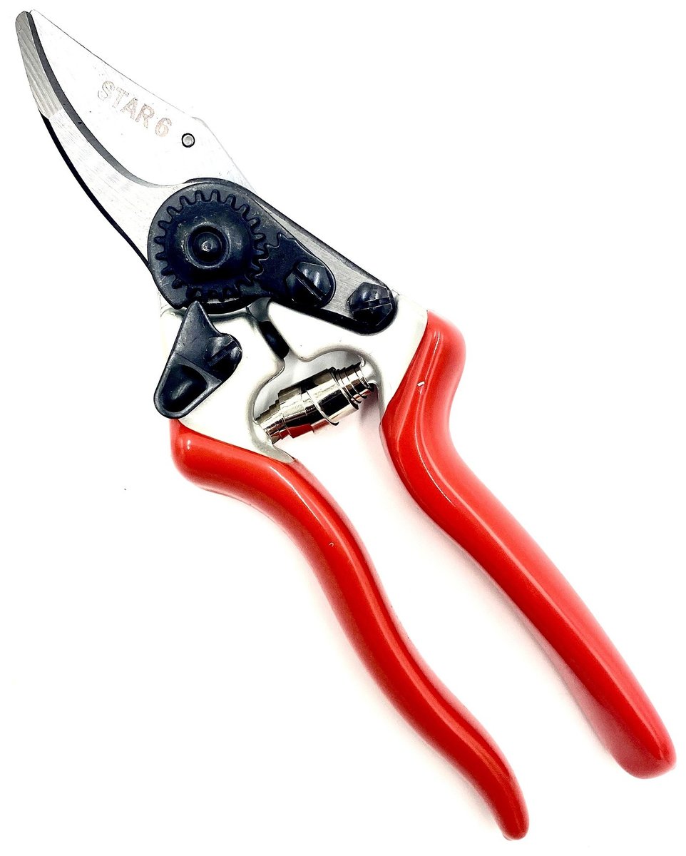 STAR6 Sekator - Euroflora | Sklep EMPIK.COM