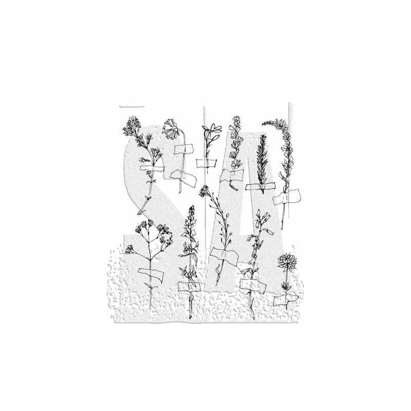 Stemple Tim Holtz - SUSZONE KWIATY / Forgotten Garden - Tim Holtz ...