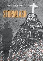 Stormlash - Elliott John | Książka w Empik