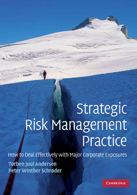 Strategic Risk Management Practice - Schroder Peter Winther | Książka w ...