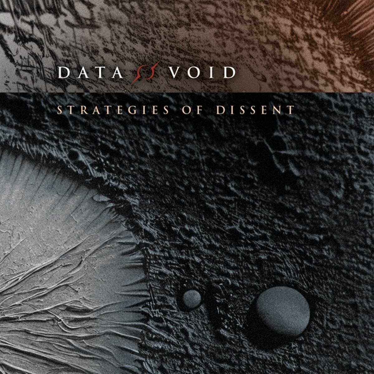 Strategies of Dissent - Data Void | Muzyka Sklep EMPIK.COM