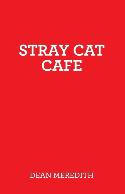 Stray Cat Cafe - Meredith Dean | Książka w Empik