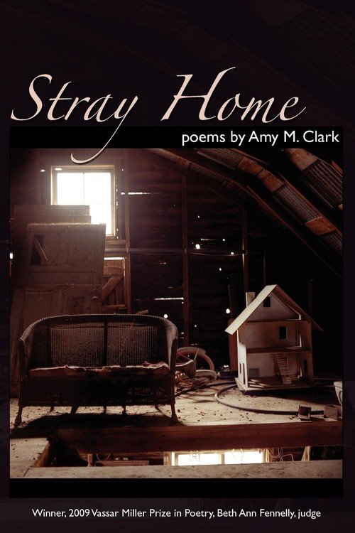 Stray Home - Clark Amy M. | Książka w Empik