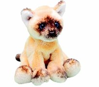 Suki, maskotka Kot Ragdoll - Suki | Sklep EMPIK.COM