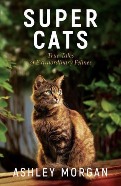 Super Cats: Inspirational True Tales of Real-Life Cat Heroes That Will ...