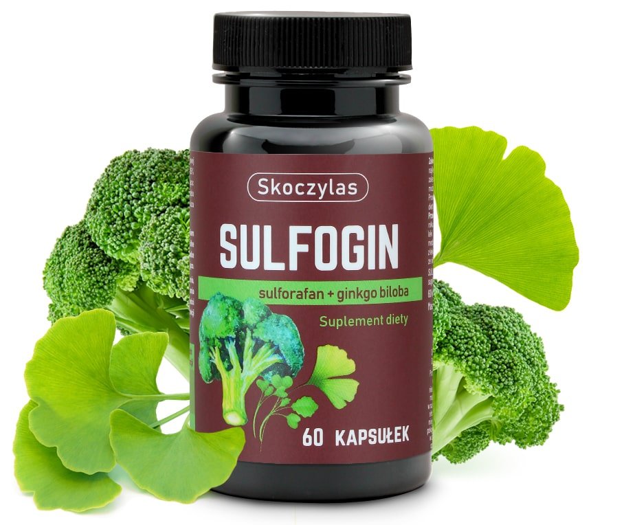 Suplement diety, Skoczylas, Sulfogin sulforafan + ginkgo biloba | Sklep ...