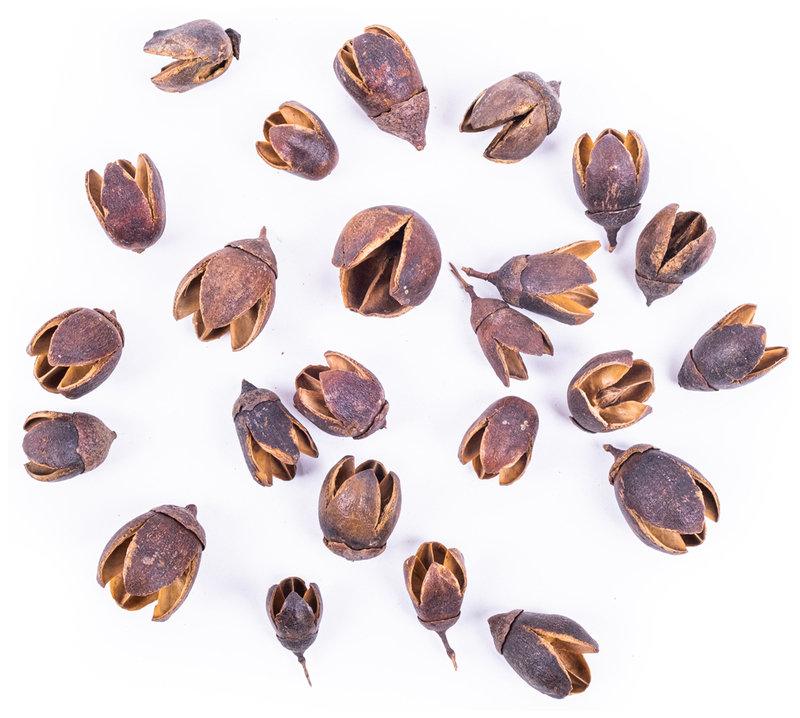 Susz Egzotyczny Bakuli , 50 G, Dp Craft - Inny producent | Sklep EMPIK.COM