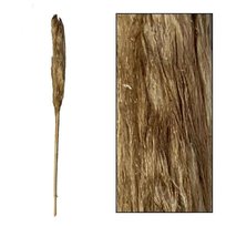 Susz Pampas Coffee (Wiązka) - Belldeco | Sklep EMPIK.COM