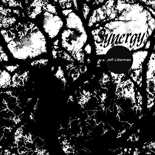 Synergy - Liberman Jeff | Muzyka Sklep EMPIK.COM