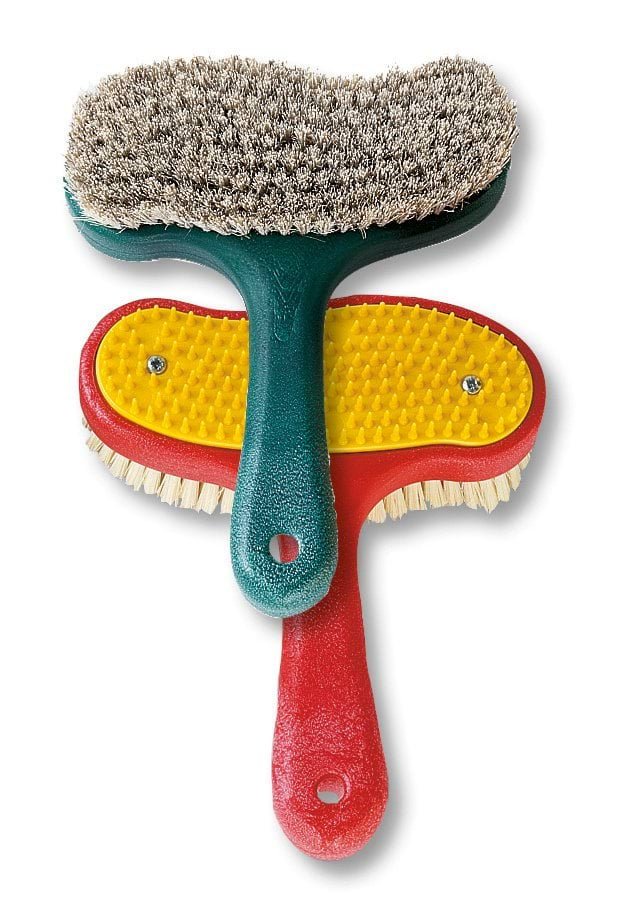 Szczotka Dla Konia Putzi, Dwustronna, Różne Kolory, Haas - Inna marka ...