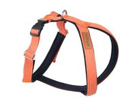 Szelki grand soft cotton xxl pomarańcz.. - Amiplay | Sklep EMPIK.COM