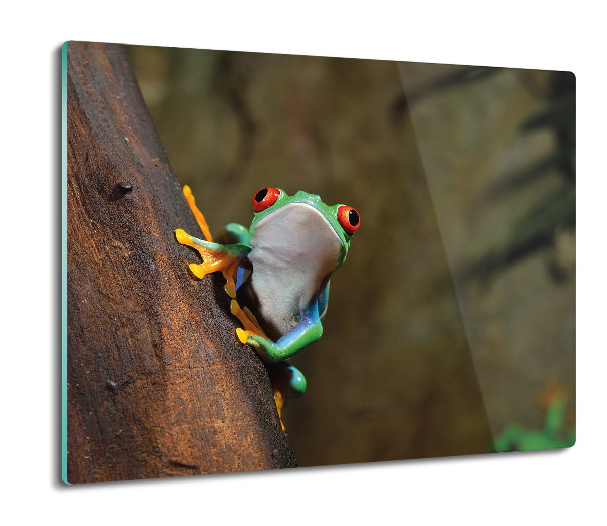 szklana osłona na indukcję Żaba płaz konar 60x52, ArtprintCave ...