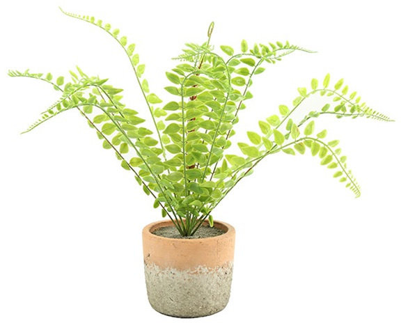 sztuczna roślina Pteropsida 12 x 30 cm zielona - TWM | Sklep EMPIK.COM