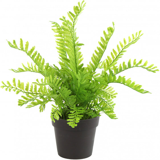 sztuczna roślina Pteropsida 28 x 30 cm polystone zielony - TWM | Sklep ...
