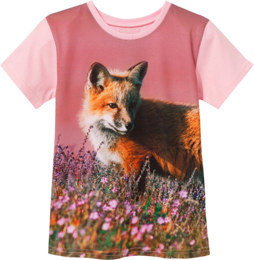 T-SHIRT DZIECIĘCY WADERA LIS WE WRZOSACH-98/104 - Wadera | Sklep EMPIK.COM