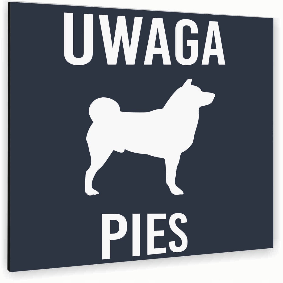 Tabliczka DIBOND UWAGA PIES Tablica ATRACYTOWA nierdzewna PIKTOGRAM ...