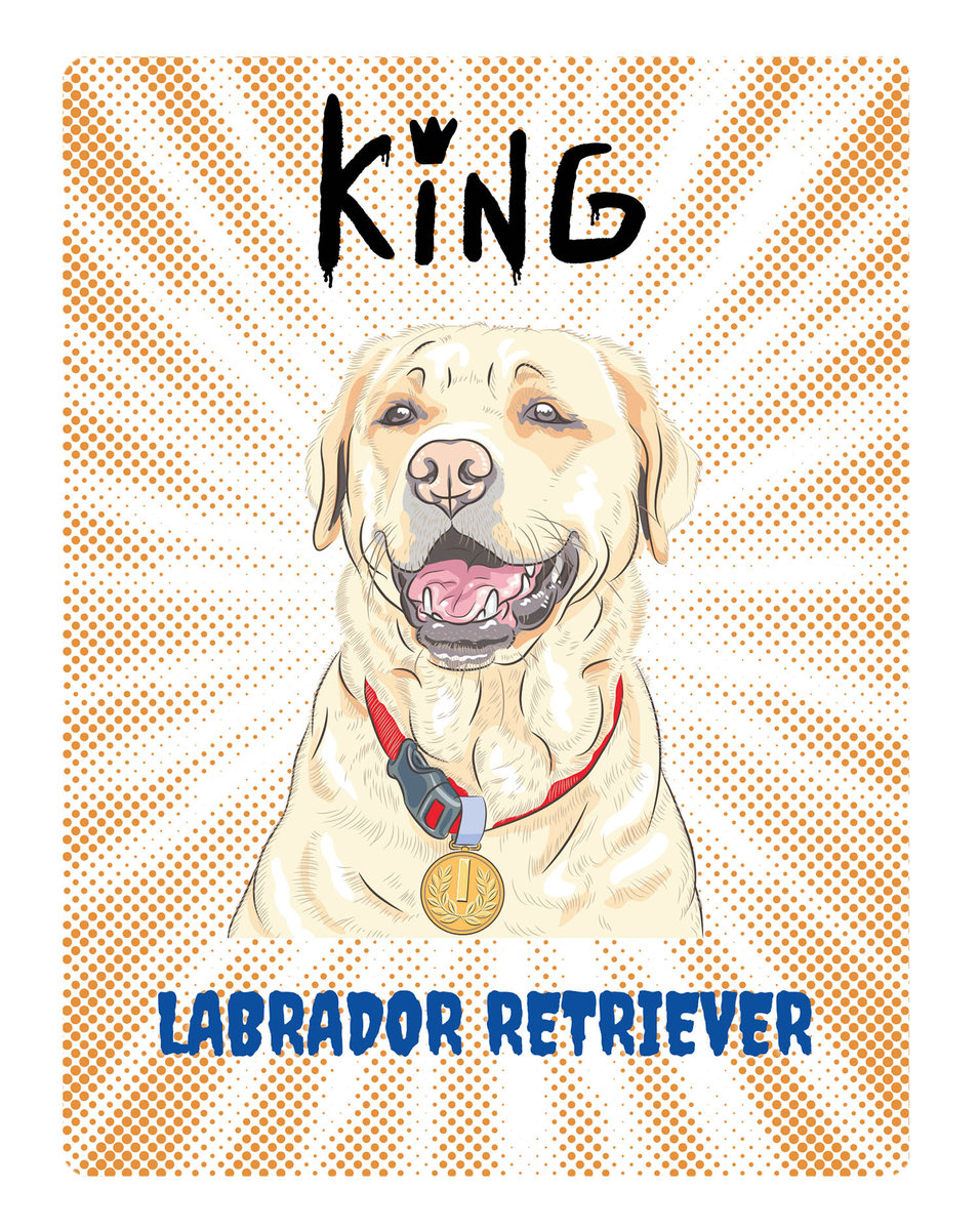 Tabliczka King Labrador Retriver - 20X28 Cm - Bertoni | Sklep EMPIK.COM