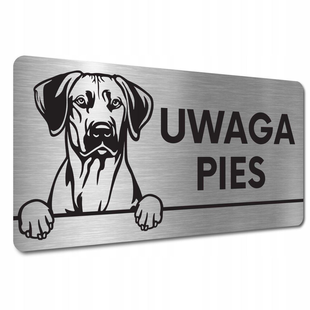 TABLICZKA UWAGA PIES ZŁY PIES Rhodesian ridgeback - Inna marka | Sklep ...