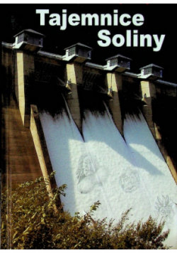 Tajemnice Soliny - Podkarpacki Instytut Książki i Marketingu | Książka ...