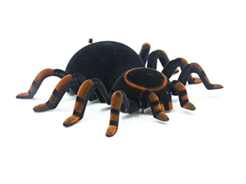 Tarantula Radio Control - CROSSROAD | Sklep EMPIK.COM