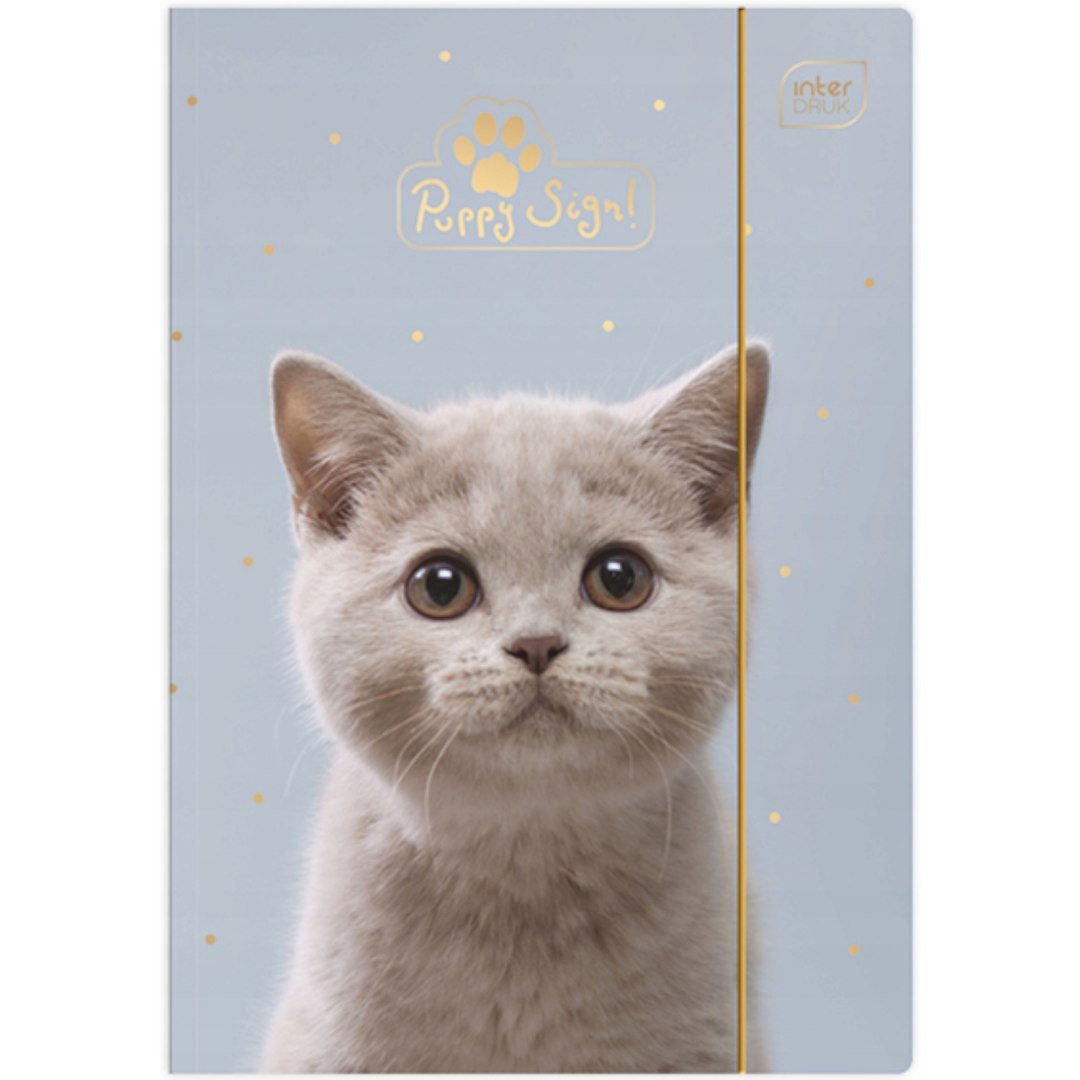 Teczka z gumką A4+ LUX UV PUPPY SIGN 5406 INTERDRUK - Interdruk | Sklep EMPIK.COM