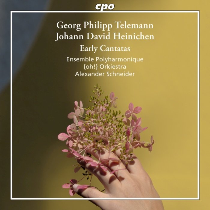 Telemann & Heinichen: Early Cantatas - Ensemble Polyharmonique | Muzyka ...