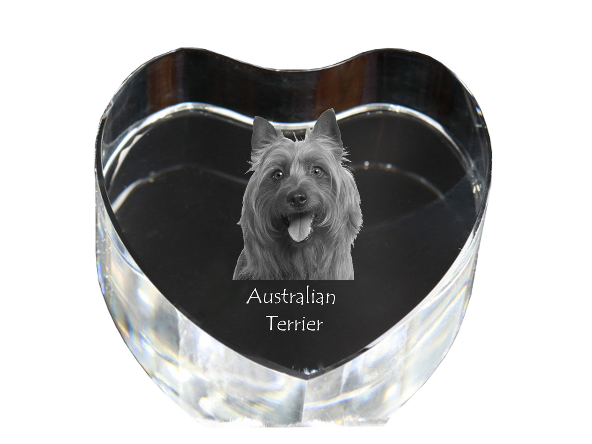Terier australijski, Aussie - zdjęcie psa w krysztale, kryształowe ...