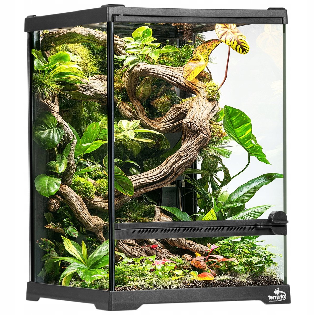 Terrario Oasis Verde 5 - terrarium 20x20x30cm - TERRARIO | Sklep EMPIK.COM