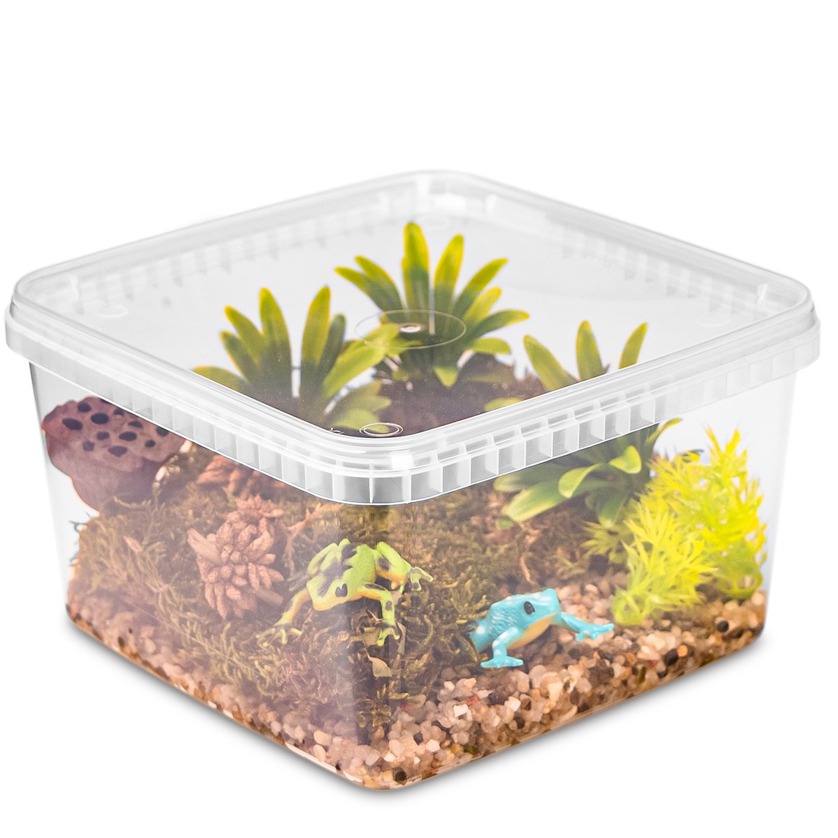 Terrario Reptibox 19X19X12Cm - Przeźroczyste Terrarium Faunarium ...