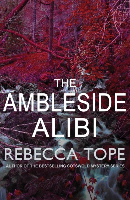The Ambleside Alibi - Rebecca Tope | Książka w Empik
