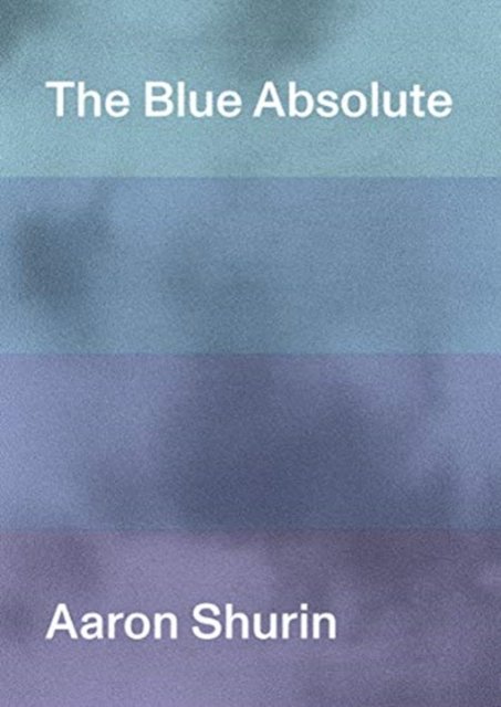 The Blue Absolute - Aaron Shurin | Książka w Empik