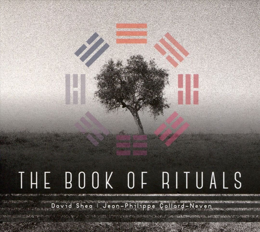 The book of rituals - Shea David | Muzyka Sklep EMPIK.COM
