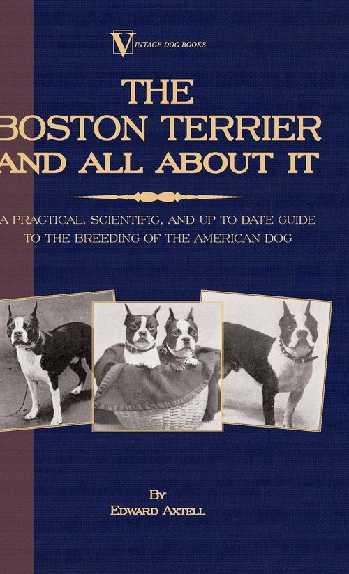 The Boston Terrier And All About It - A Practical, Scientific, And Up ...