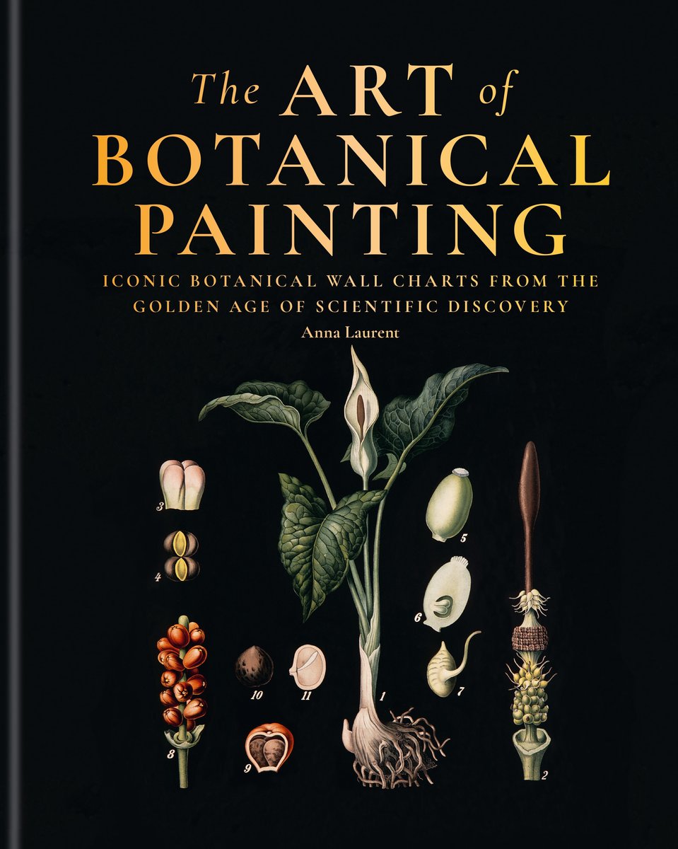 The Botanical Wall Chart: Art from the golden age of scientific ...