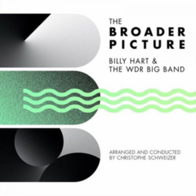 The Broader Picture - Hart Billy | Sklep EMPIK.COM