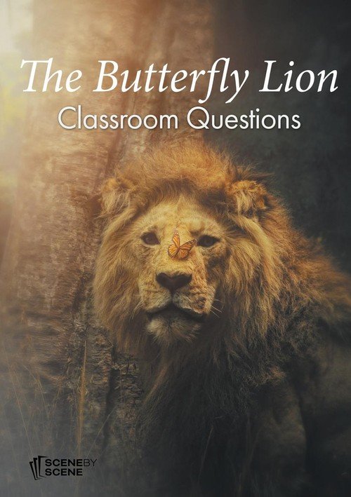 The Butterfly Lion Classroom Questions - Farrell Amy | Książka w Empik