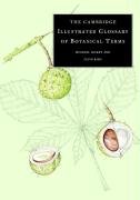 The Cambridge Illustrated Glossary of Botanical Terms - King Clive ...