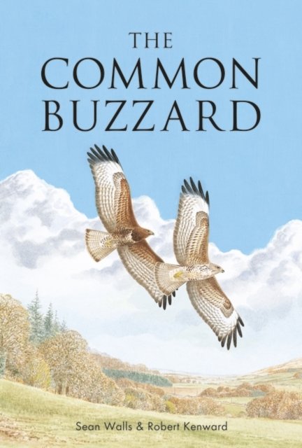 The Common Buzzard - Sean Walls | Książka w Empik