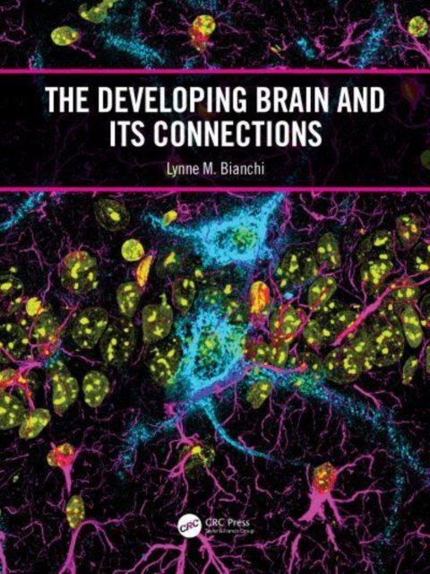 The Developing Brain and its Connections - Lynne M. Bianchi | Książka w Empik